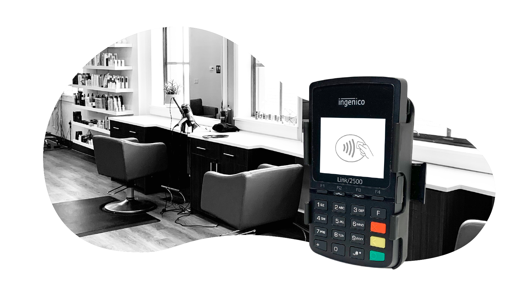 Turn your phone into a mobile point of sale with Link2500